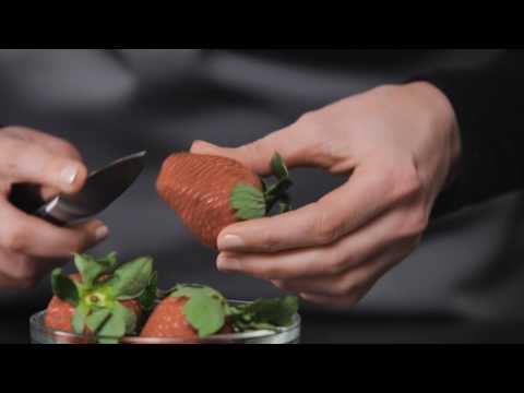 Hamilton Beach "Eclipse" Blender BBE0755 – Cappstar